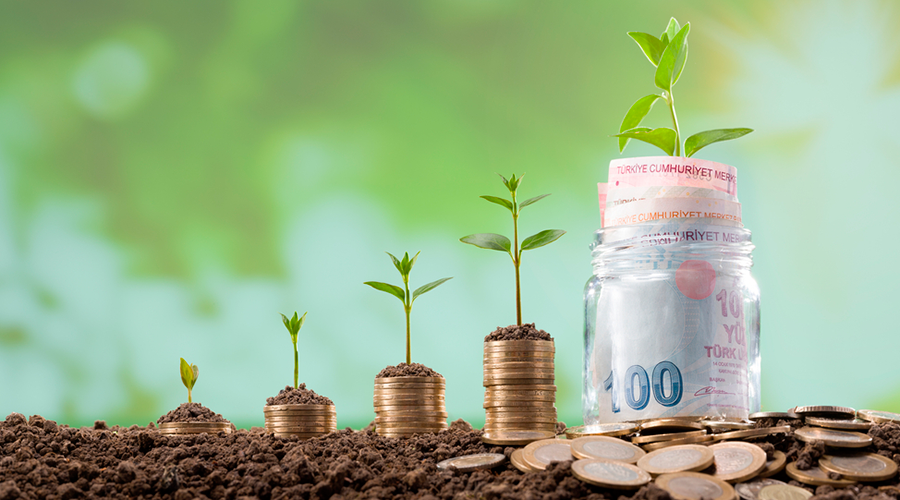 Recursos financieros: qué son, tipos y cómo obtenerlos